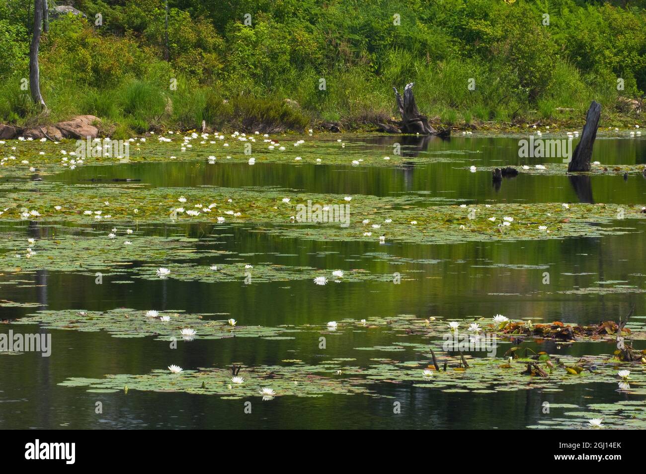 Pond inlet canada hi-res stock photography and images - Alamy
