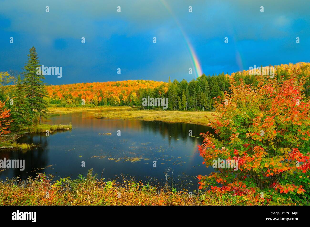 Rainbow over wetland hi-res stock photography and images - Alamy