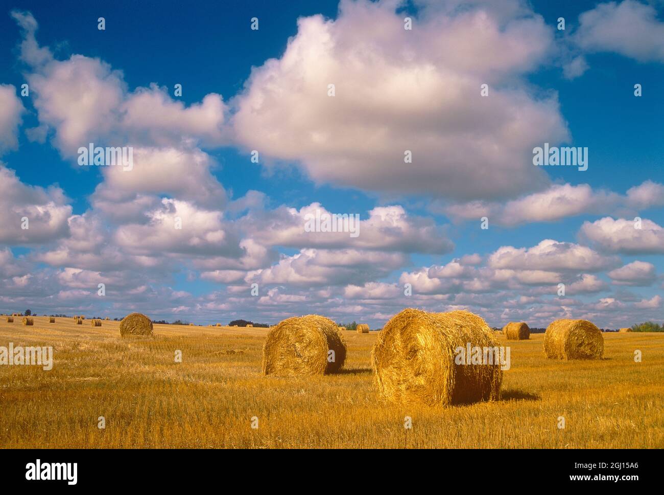Shellbrook hi-res stock photography and images - Alamy