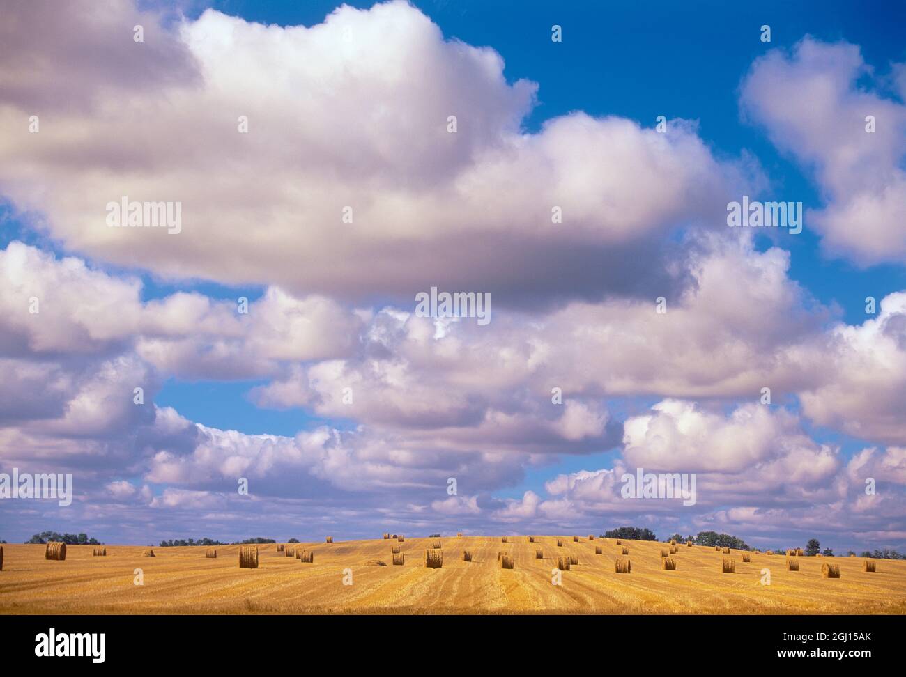 Shellbrook hi-res stock photography and images - Alamy