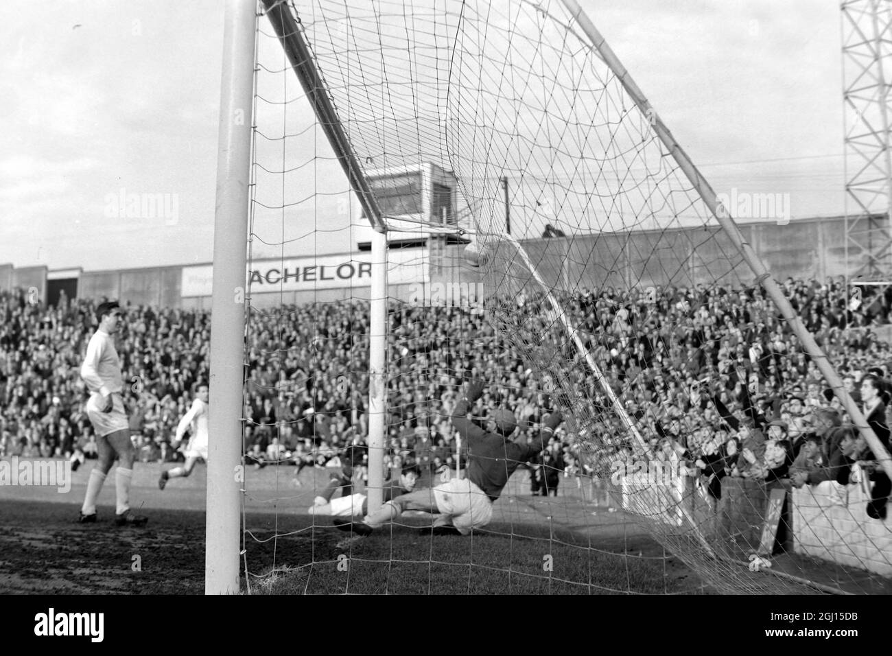 Brian hughes hi-res stock photography and images - Alamy