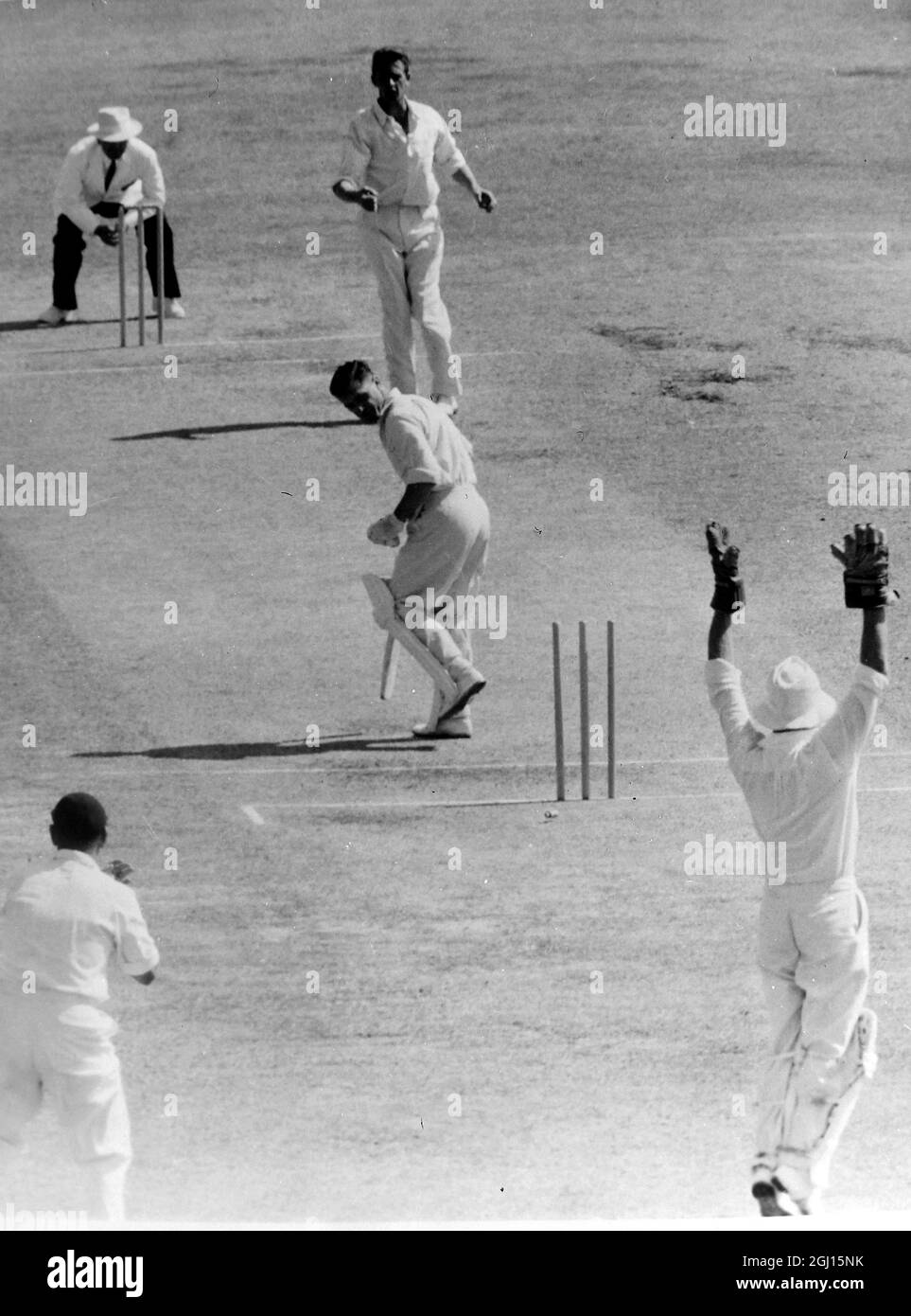 Cricket players in action hi-res stock photography and images - Alamy