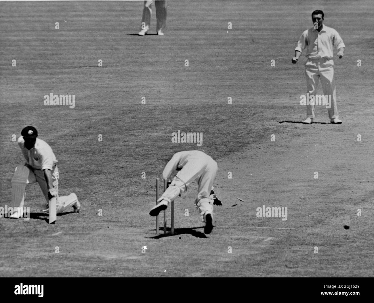 CRICKET MCC V AUSTRALIA SHEPPARD ESCAPES BEING STUMPED BY PETER PARFITT ...