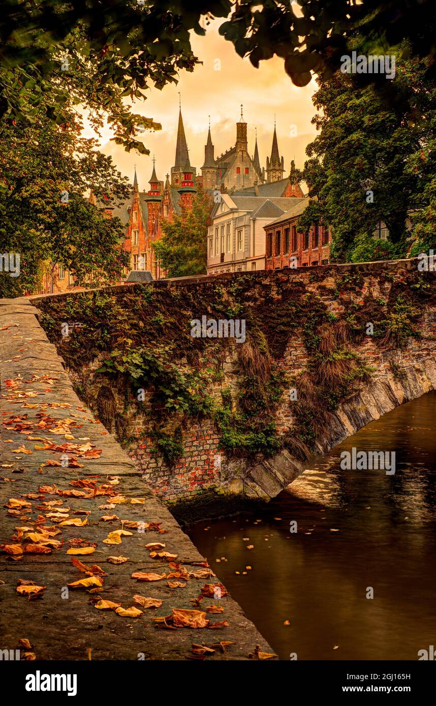 Fall leaf strewn bridge over a canal in Bruges, Belgium Stock Photo - Alamy