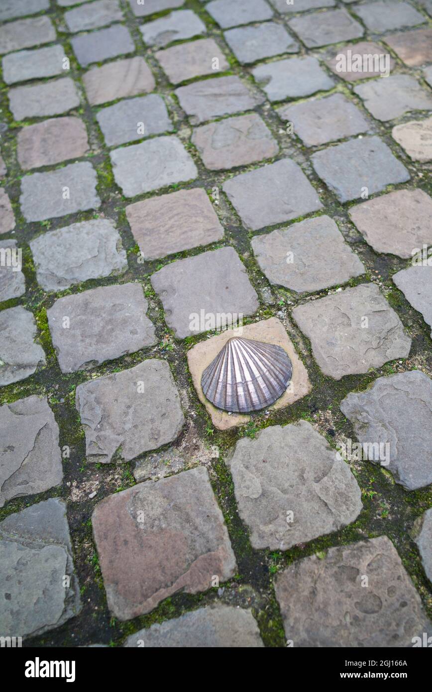 Belgium, Bruges, bronze seashell marking of the Camino de Santiago ...