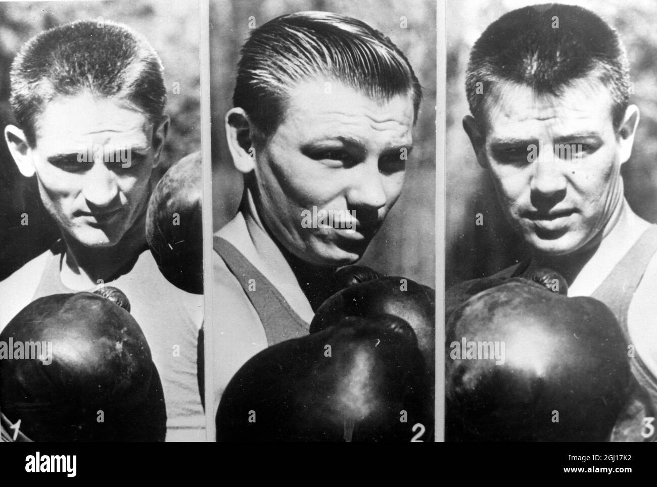 Members of a boxing team members of a boxing team hi-res stock ...