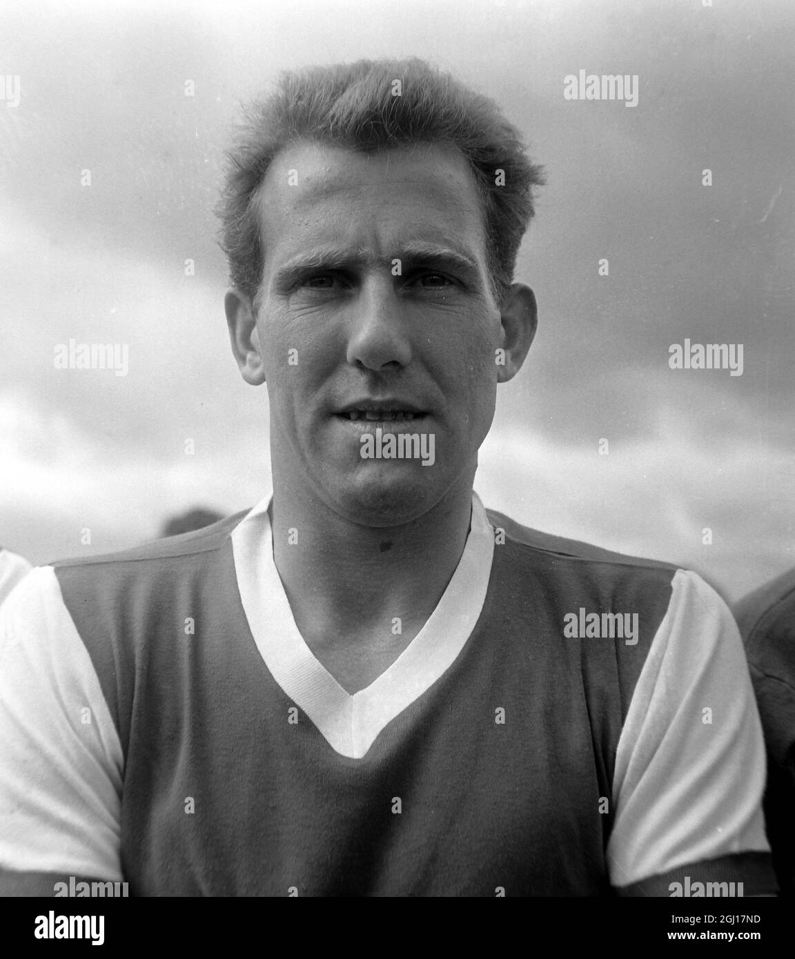 Laurie Heineman Spotlight