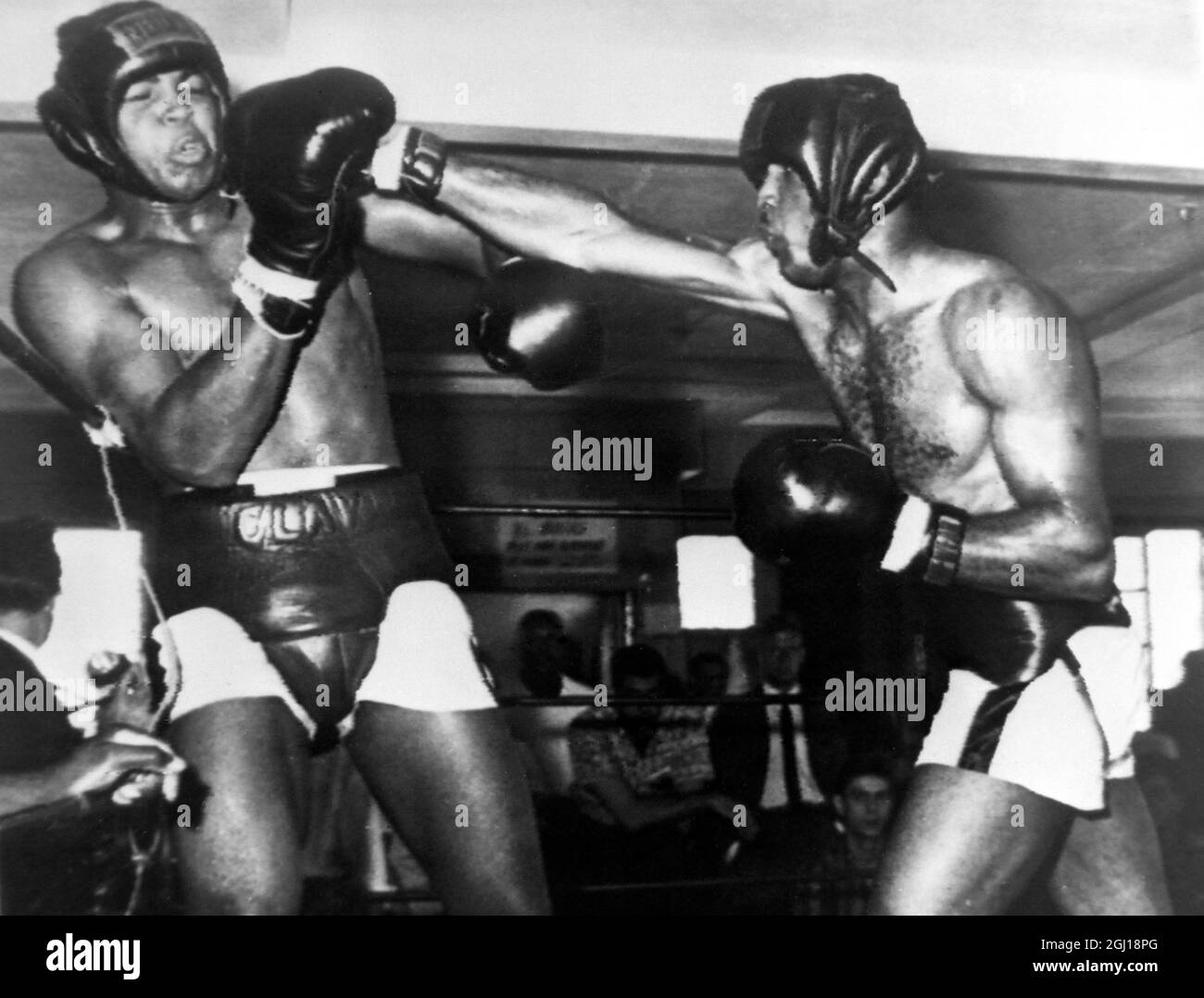 28 JANUARY 1964 CASSIUS CLAY ( MUHAMMAD ALI ) IS PUNCHED BY HIS BROTHER ...