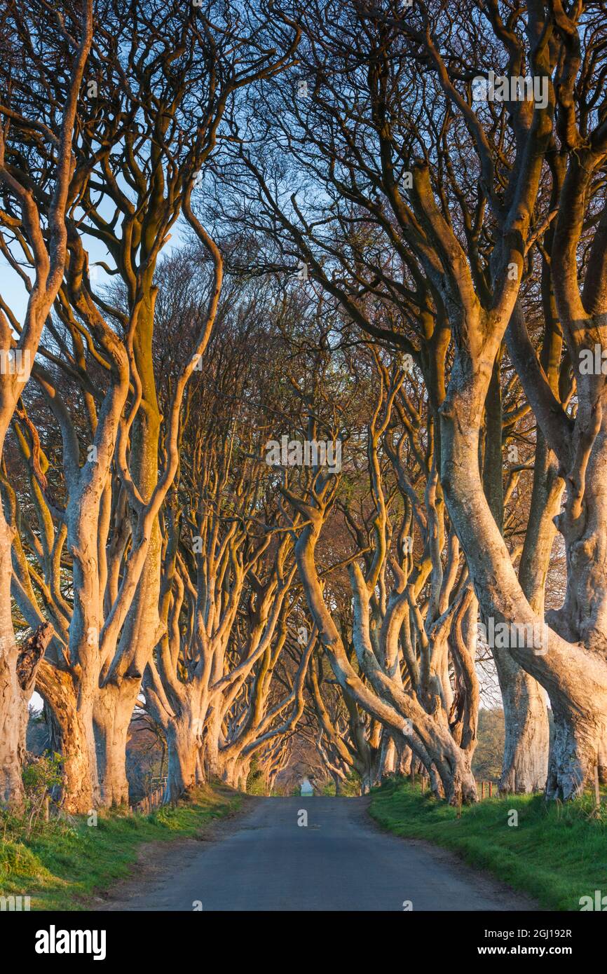 Ballymoney, county antrim hi-res stock photography and images - Alamy