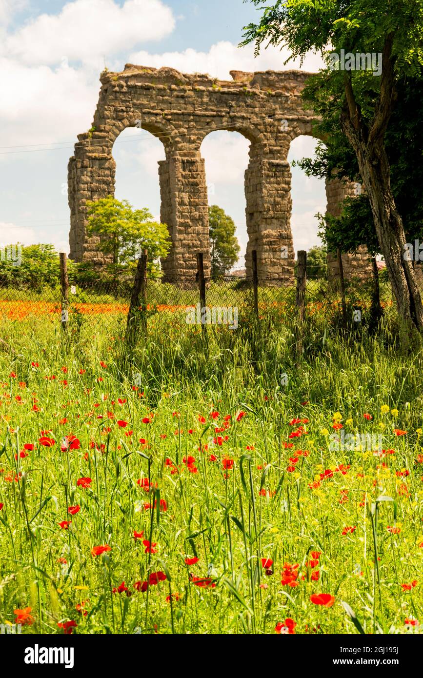 Italy, Rome. Parco Regionale dell'Appia, Antica, Park of the Aqueducts ...