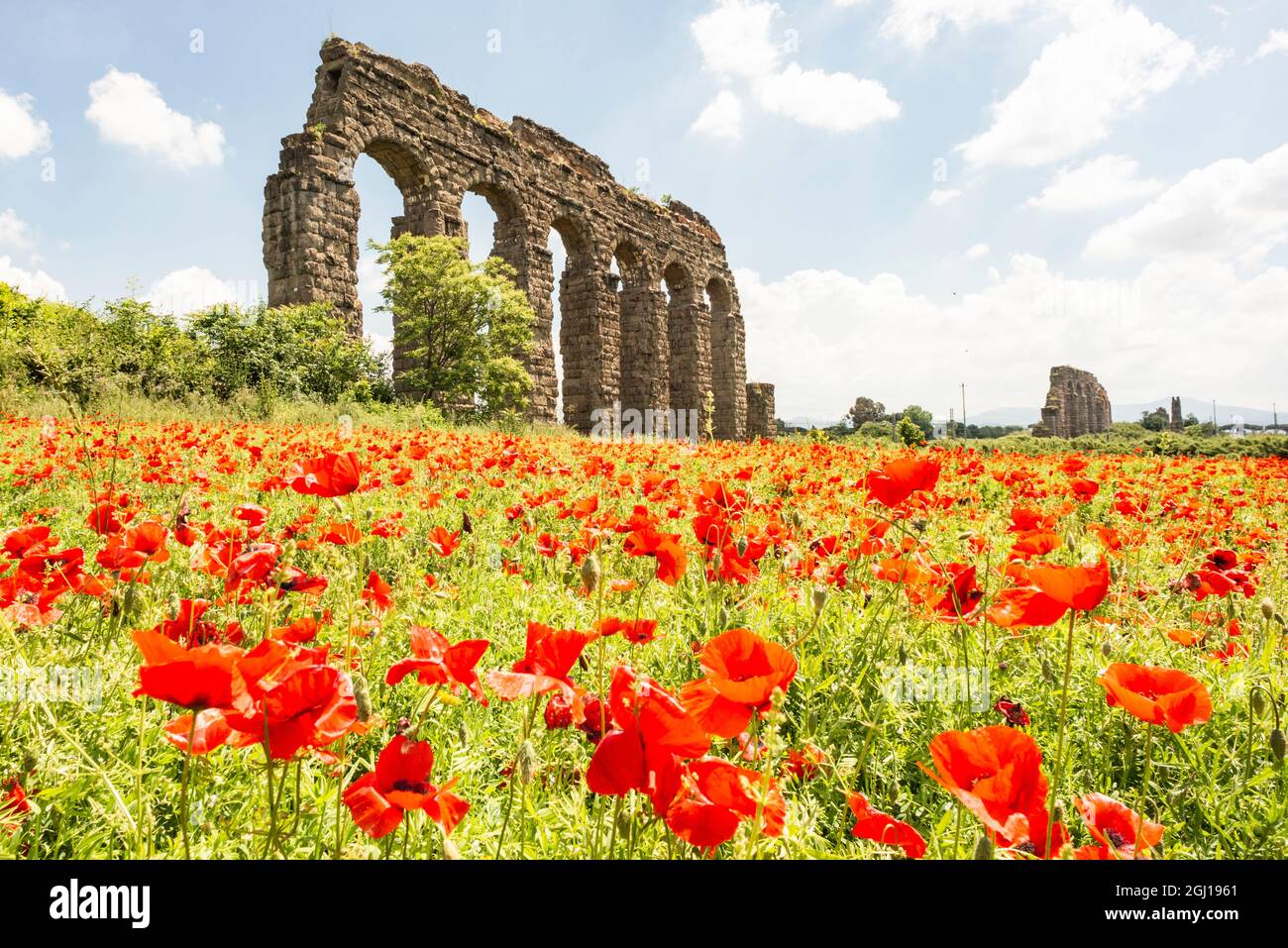 Italy, Rome. Parco Regionale dell'Appia, Antica, Park of the Aqueducts ...