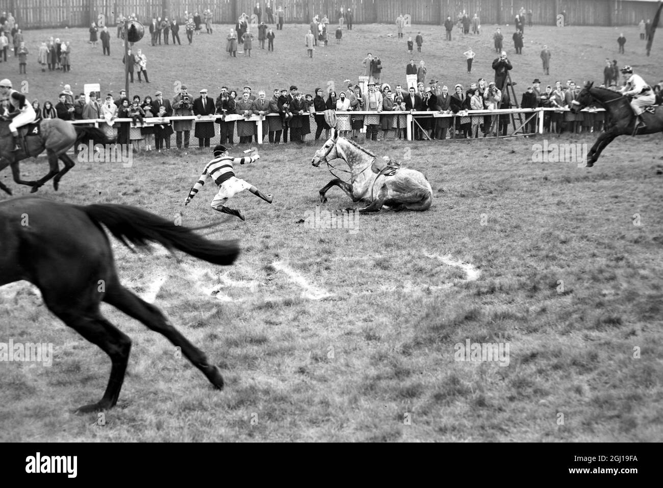 FLYING WILD FALLS JOCKEY GOES FLYING IN ACTION IN LIVERPOOL HORSE RACE ...