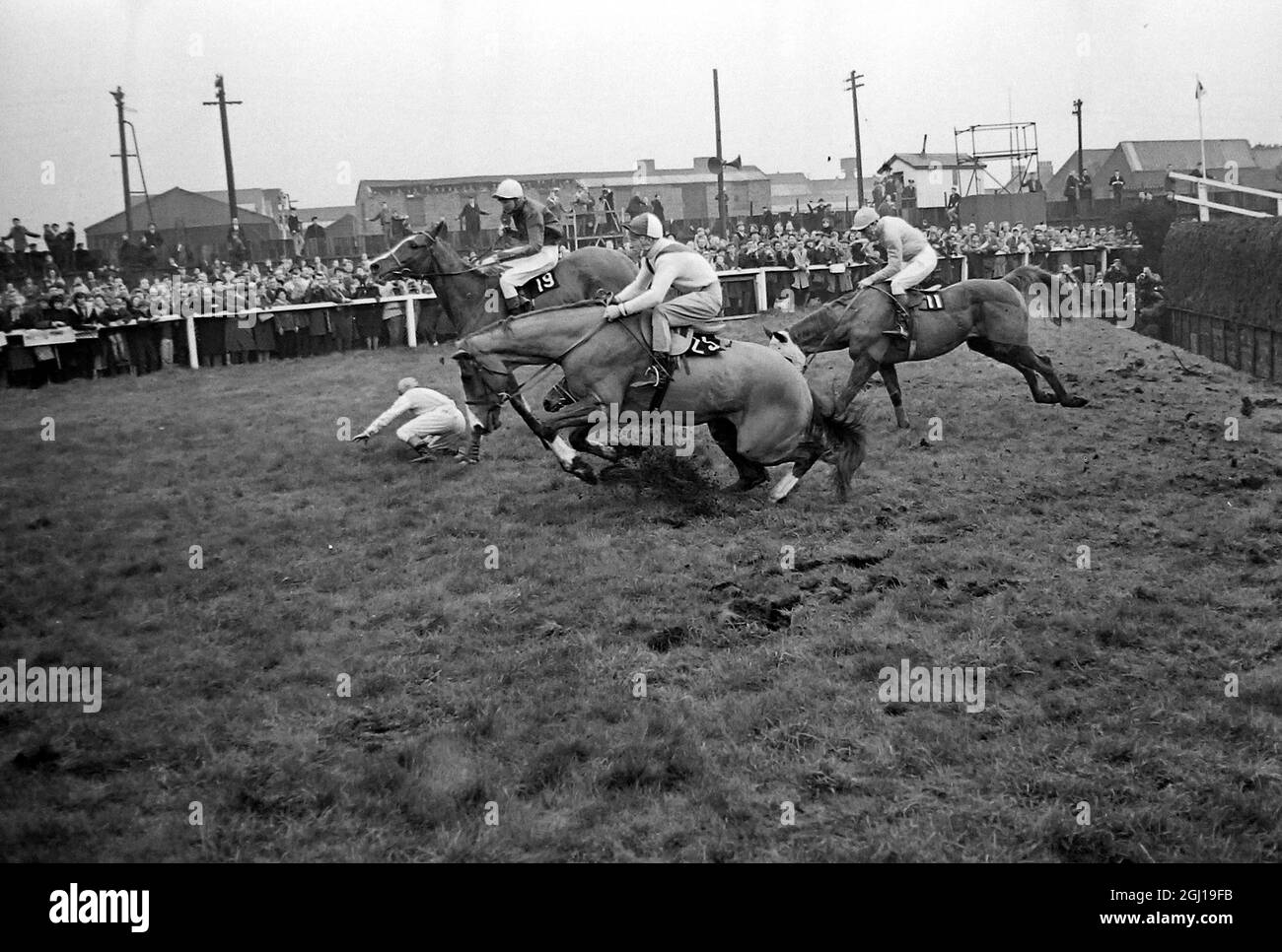 JOCKEY TRIES TO GET OUT WAY OF HORSES IN ACTION IN LIVERPOOL HORSE RACE ...