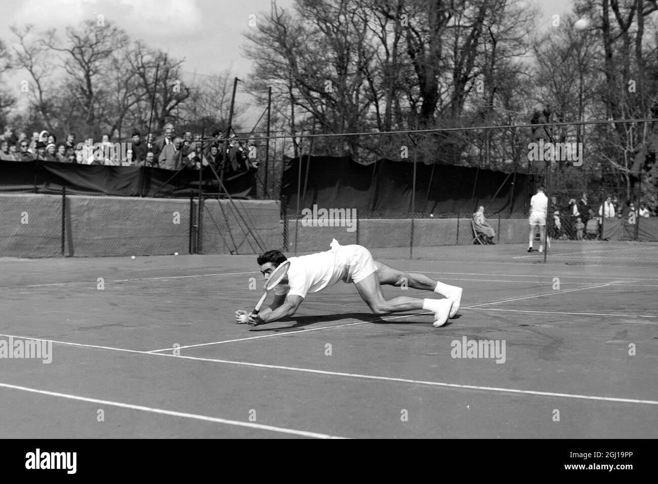 TENNIS PLAYER ROGER TAYLOR IN ACTION AT CONNAUGHT CLUB - ; 17 APRIL ...