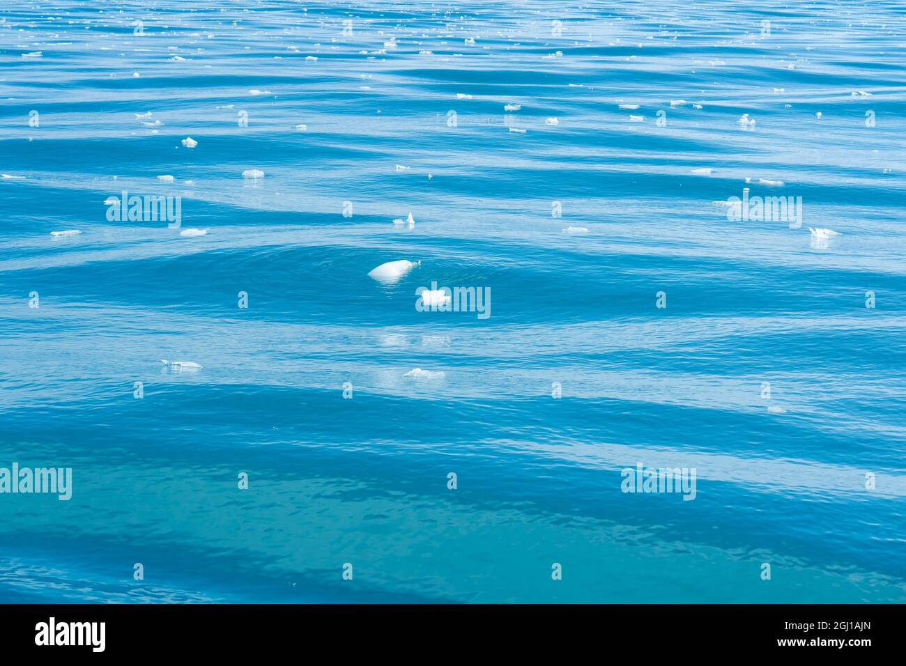 Arctic, Svalbard, Nordaustlandet Island. The water around the melting ...