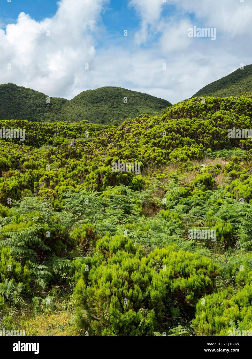 Landscape near cave Algar do Carvao. Terceira Island, Azores, Portugal ...