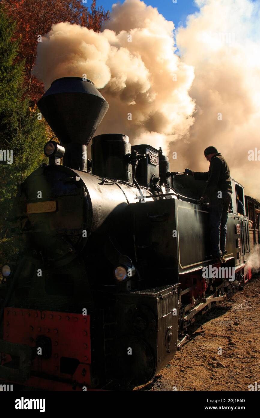 Wood burning steam locomotive hi-res stock photography and images - Alamy