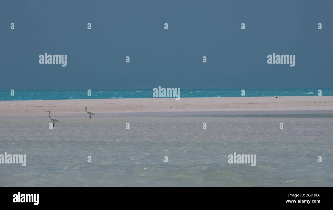 Exuma cays hi-res stock photography and images - Alamy