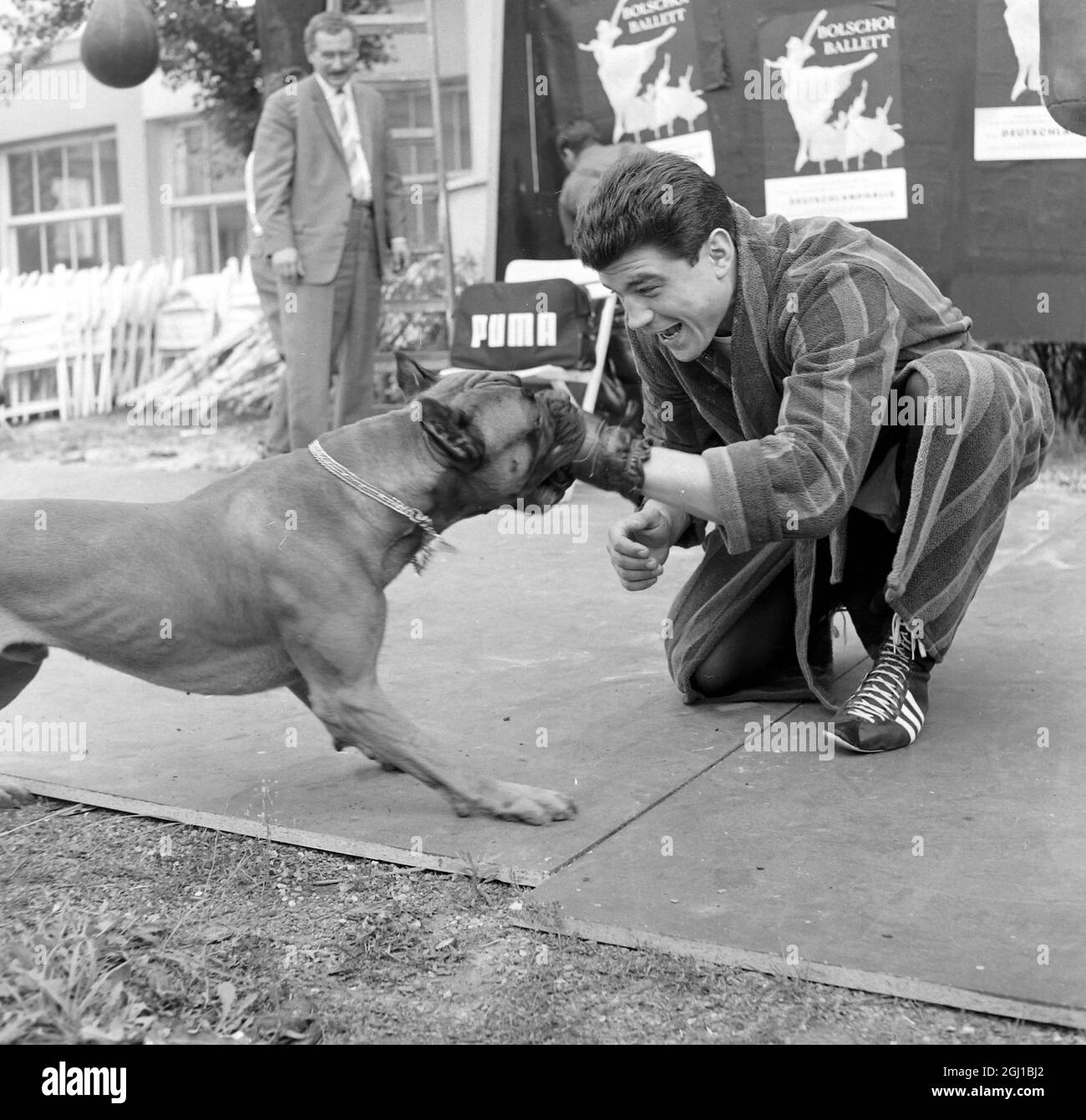 BOXING CHAMPION KARL MILDENBERGER WITH BOXER DOG AMMOS VON DER ...