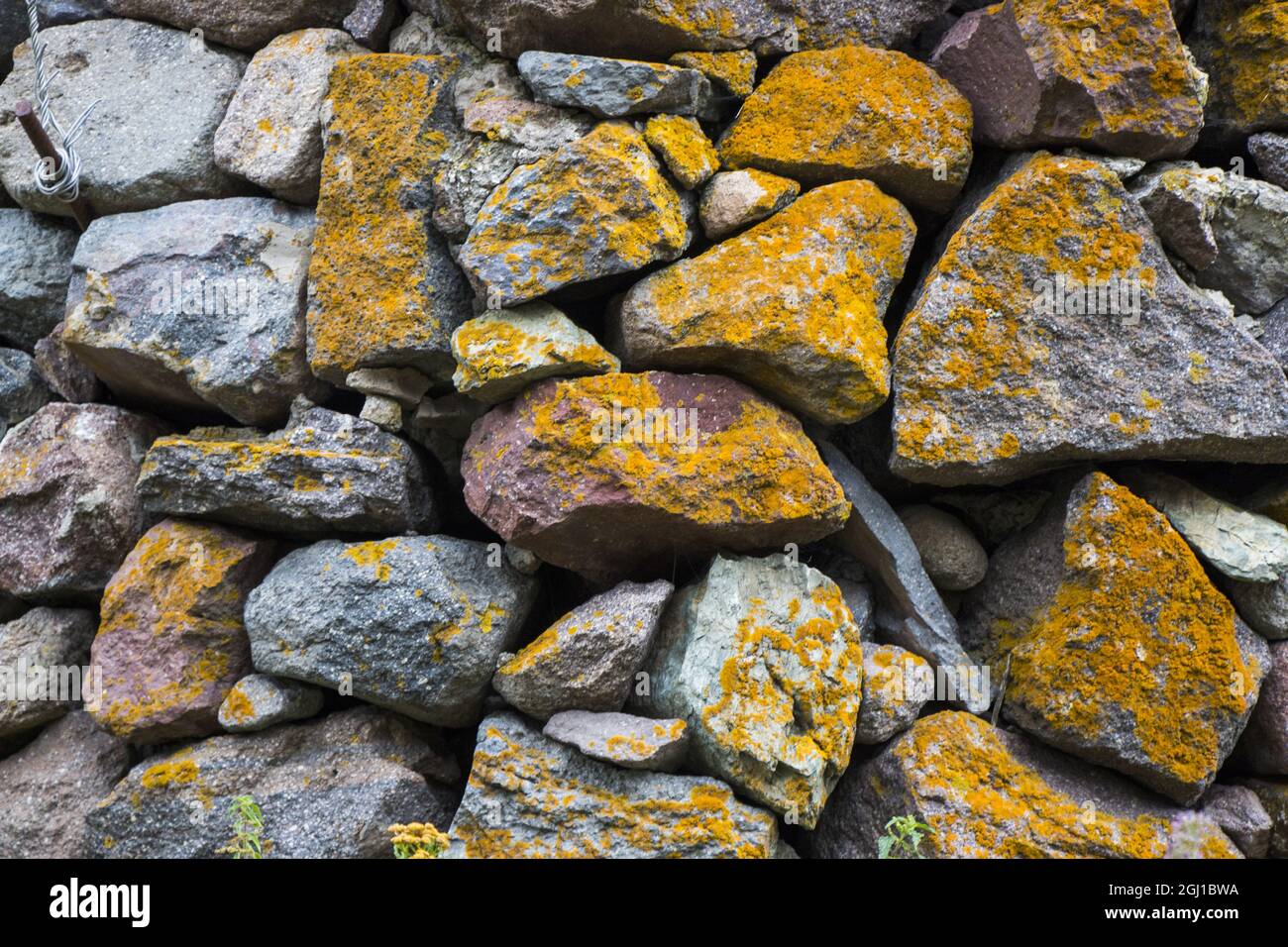 Old stone wall, moss and mold on the stone Stock Photo - Alamy
