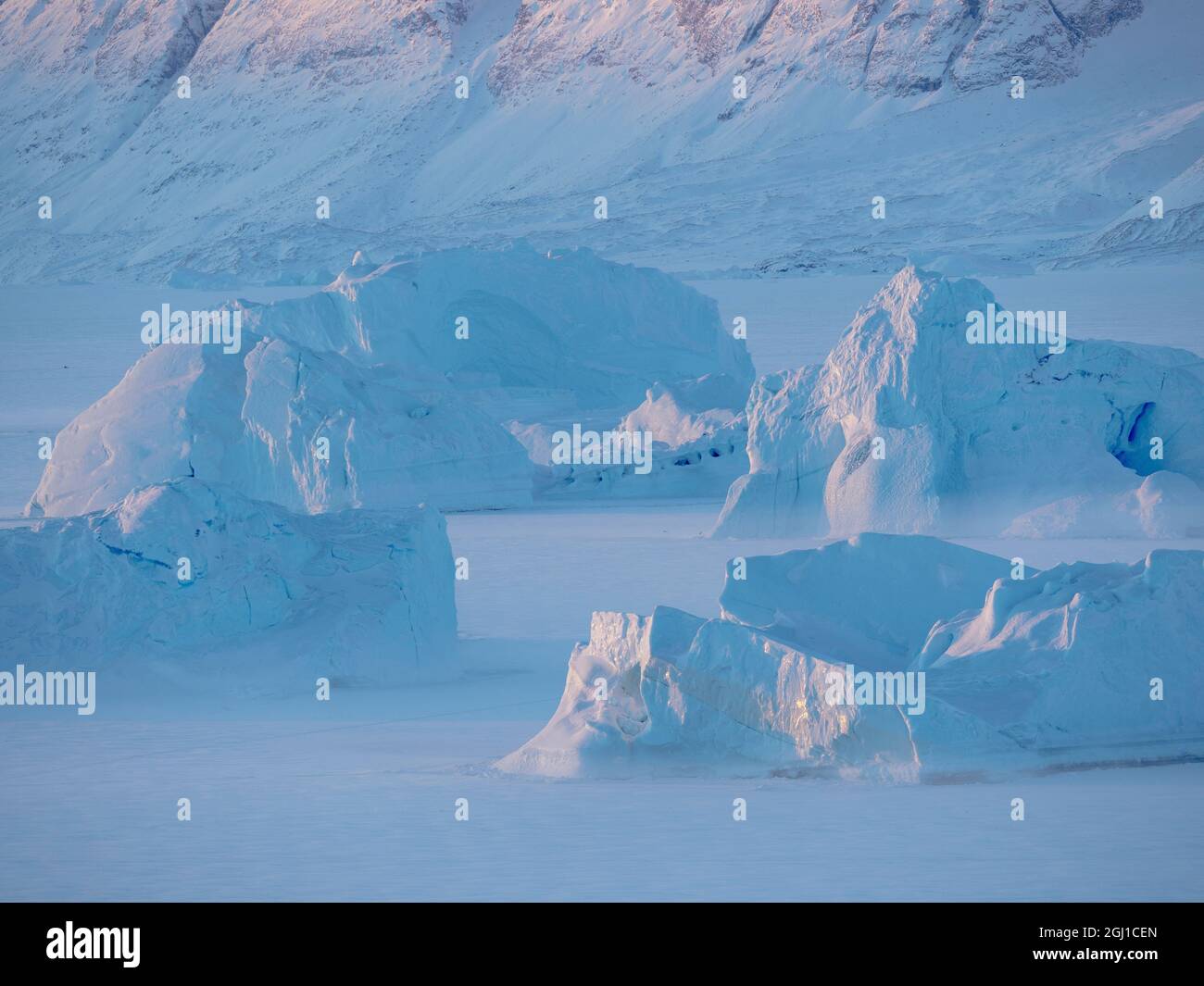 Icebergs frozen into the sea ice of the Uummannaq Fjord System during ...
