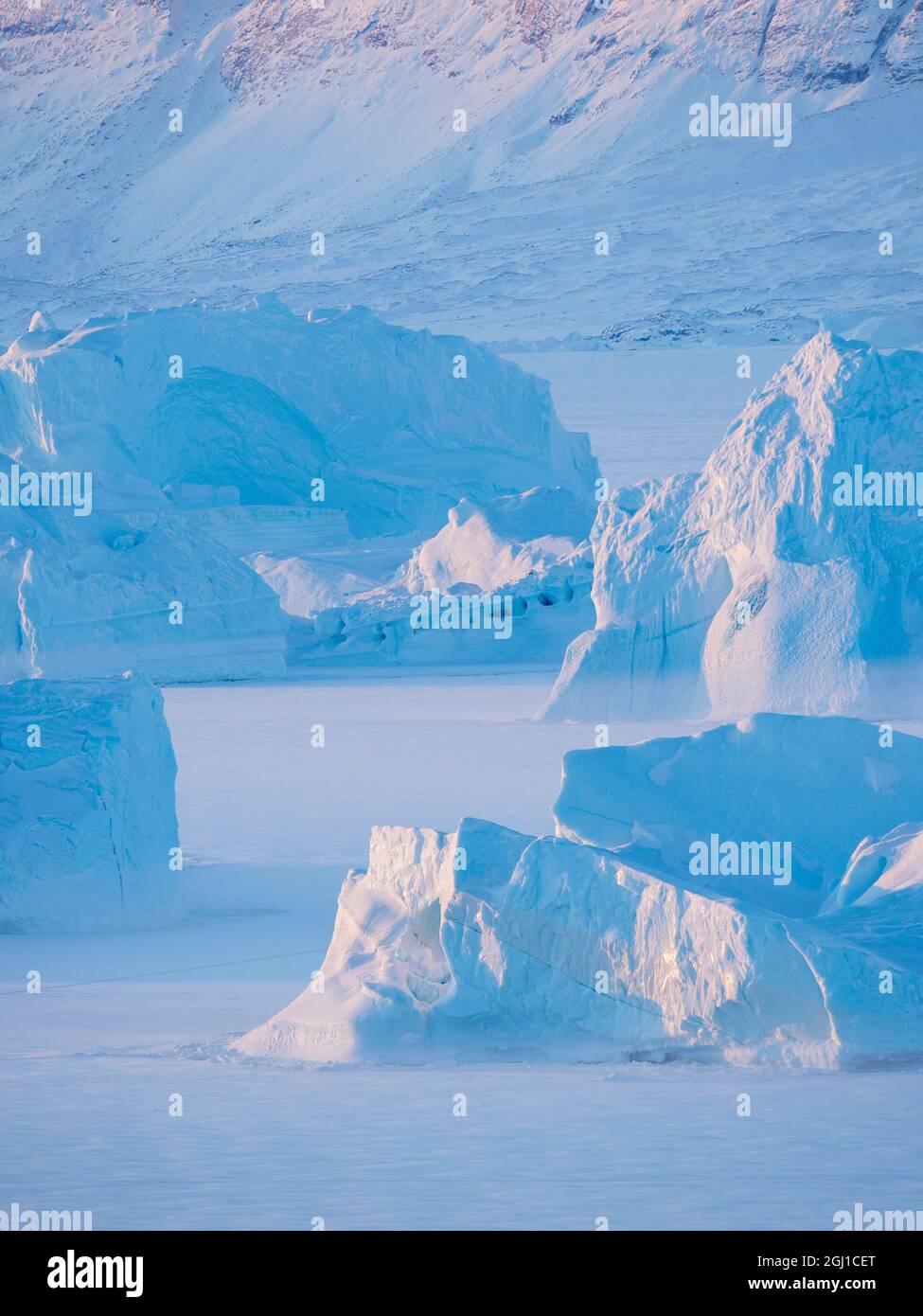 Icebergs frozen into the sea ice of the Uummannaq Fjord System during ...