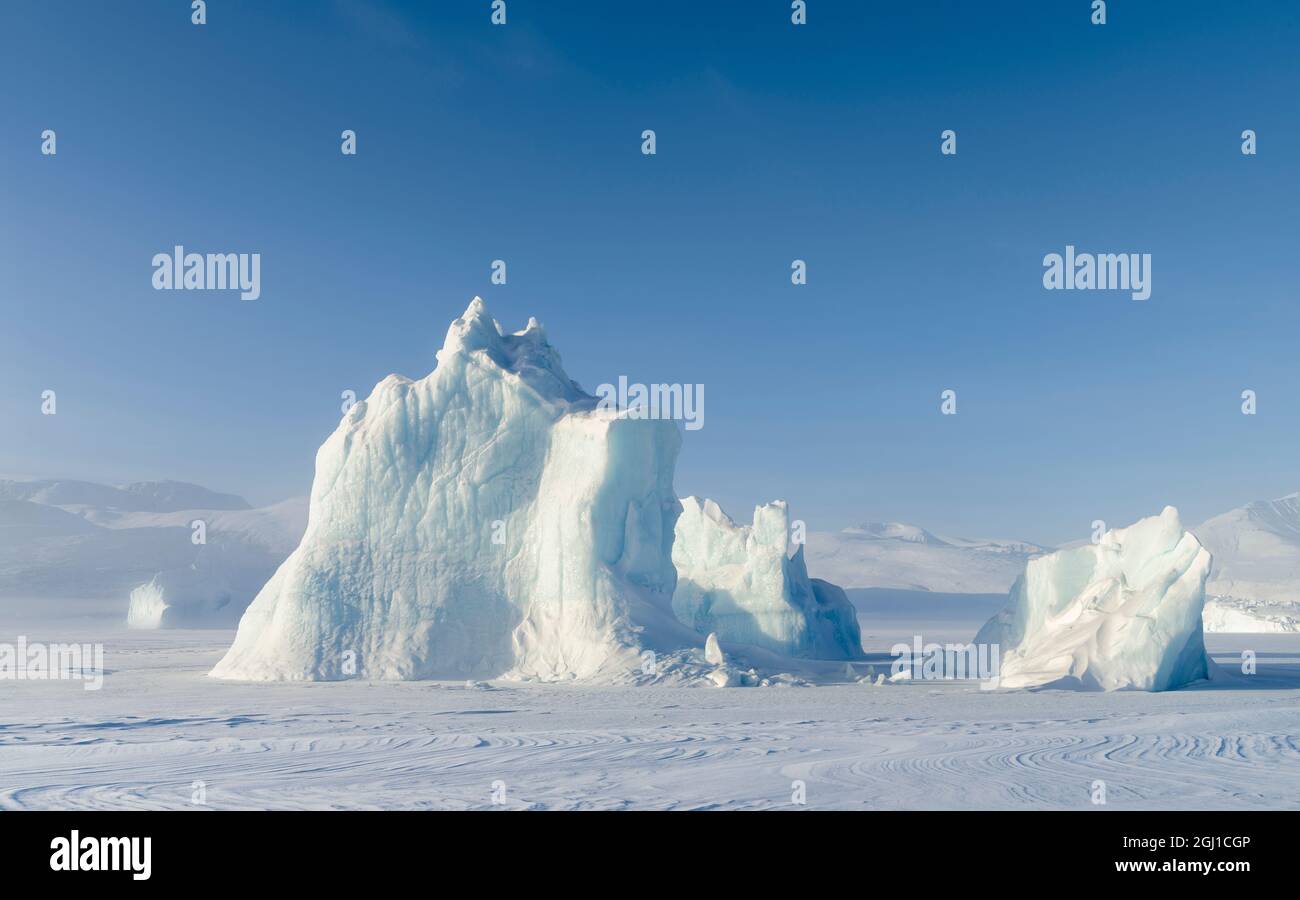 Icebergs frozen into the sea ice of the Uummannaq Fjord System during ...