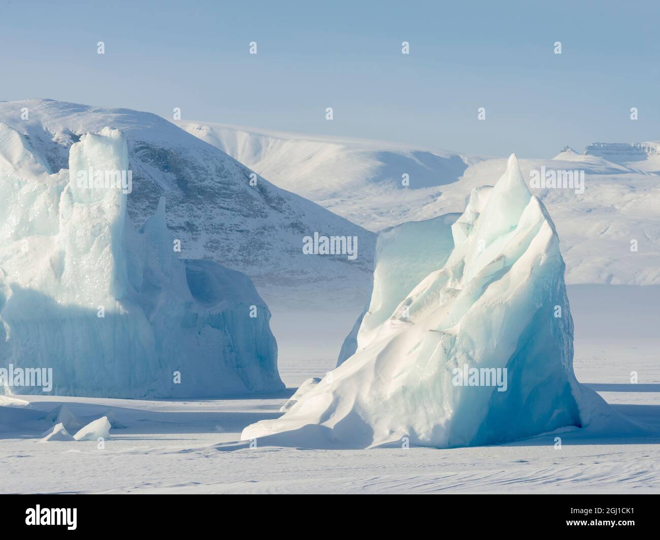 Icebergs frozen into the sea ice of the Uummannaq Fjord System during ...
