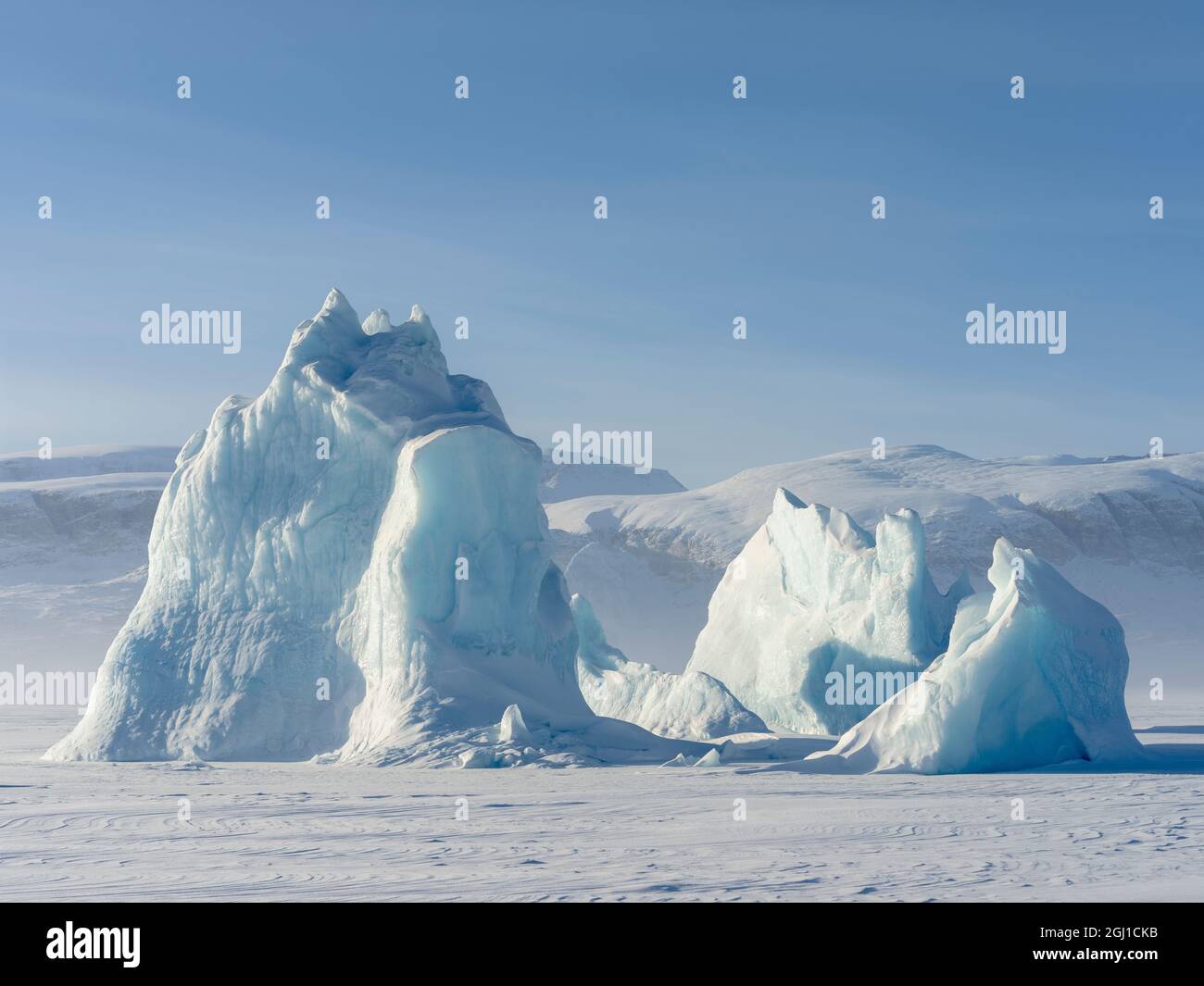 Icebergs frozen into the sea ice of the Uummannaq Fjord System during ...