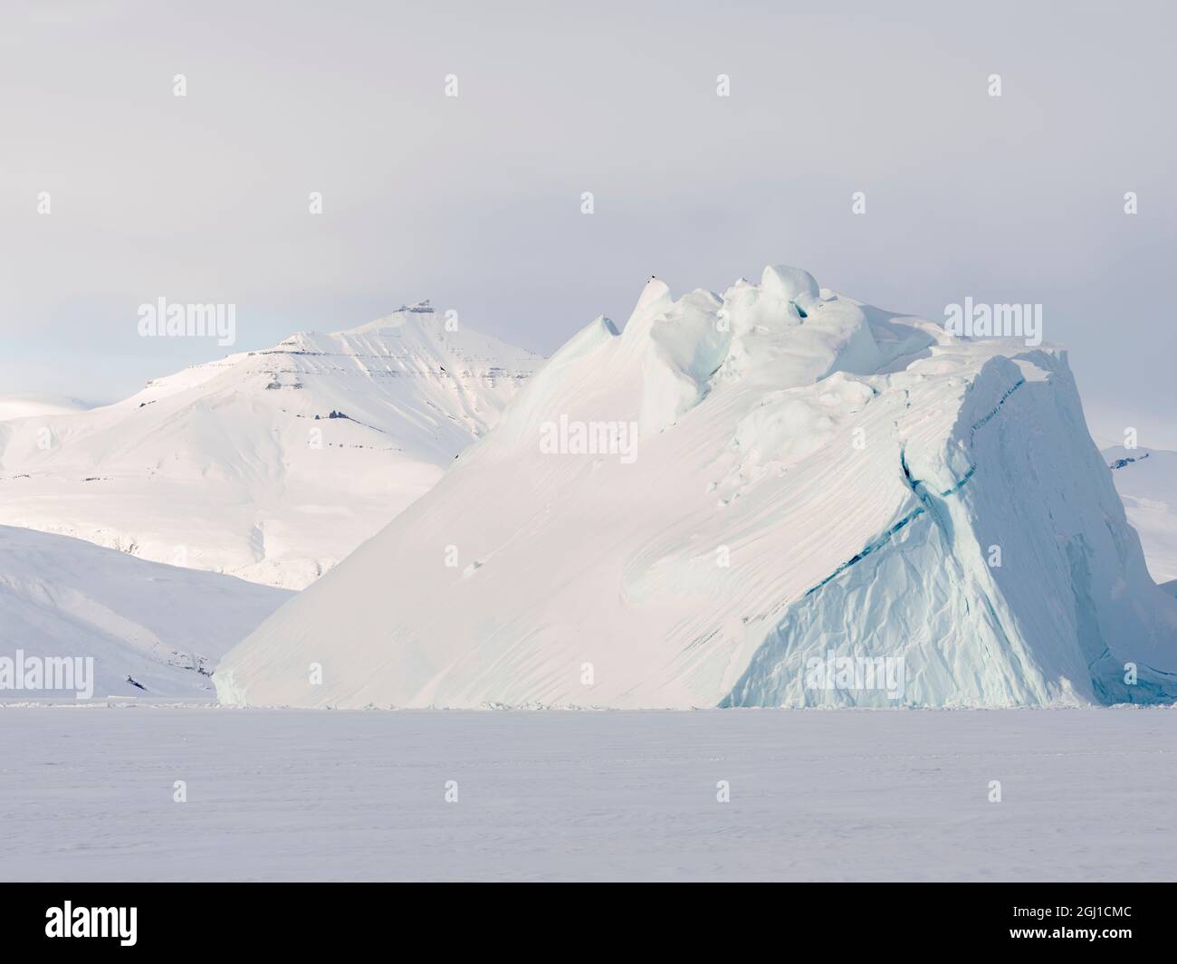 Icebergs frozen into the sea ice of the Uummannaq Fjord System during ...