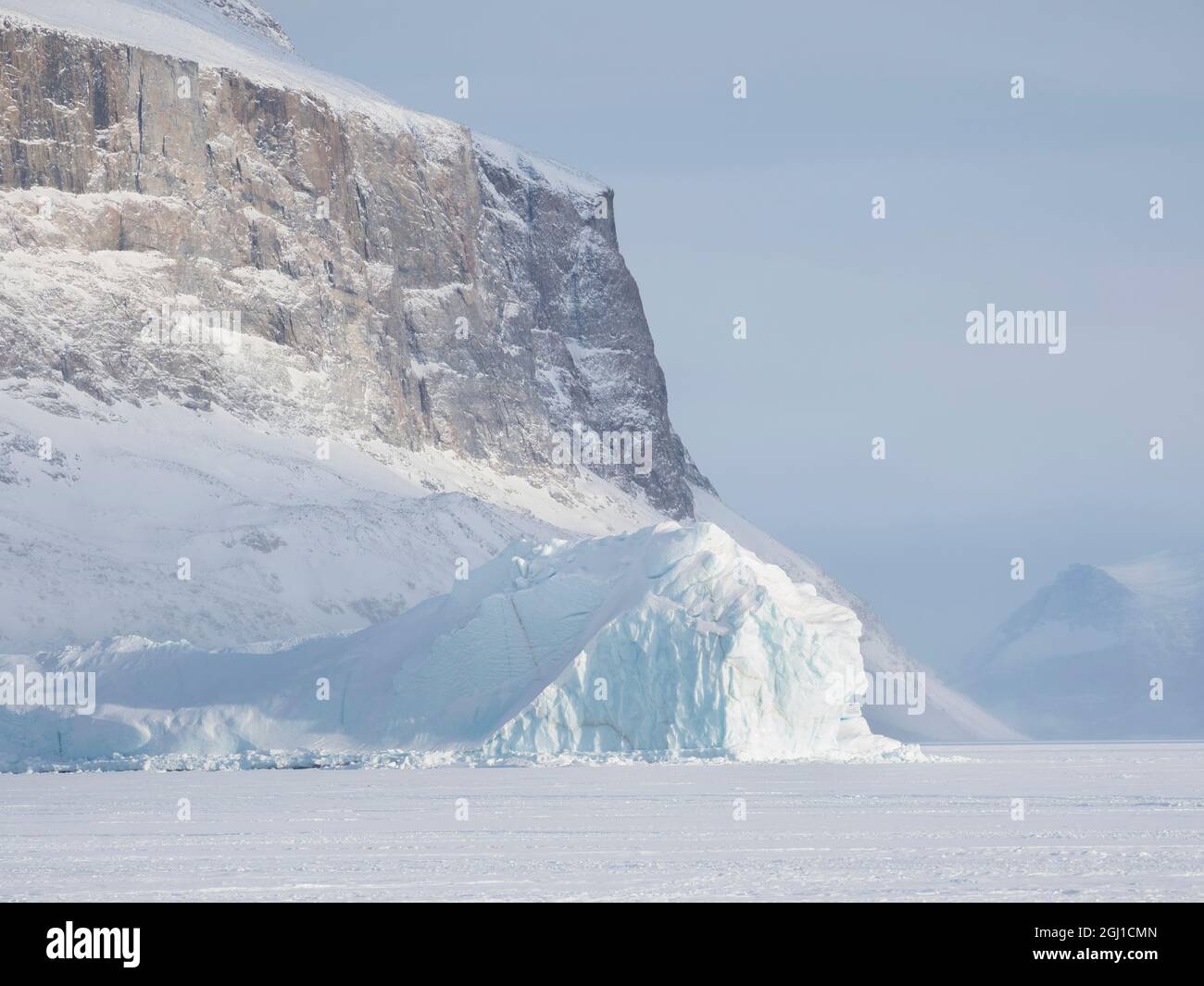Icebergs frozen into the sea ice of the Uummannaq Fjord System during ...