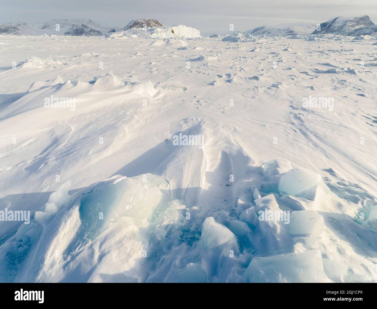Icebergs frozen into the sea ice of the Uummannaq Fjord System near ...