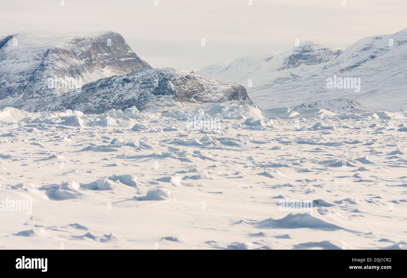 Icebergs frozen into the sea ice of the Uummannaq Fjord System near ...