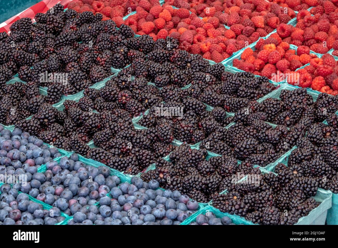 Blueberry pint hi-res stock photography and images - Alamy