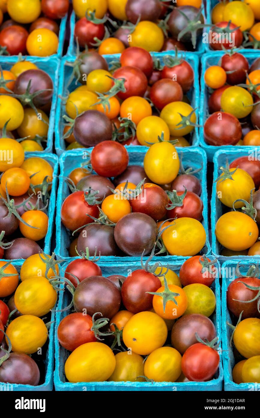 Heirloom cherry tomatoes, USA Stock Photo - Alamy