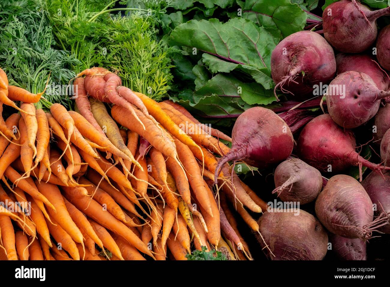Jim root orange hi-res stock photography and images - Alamy
