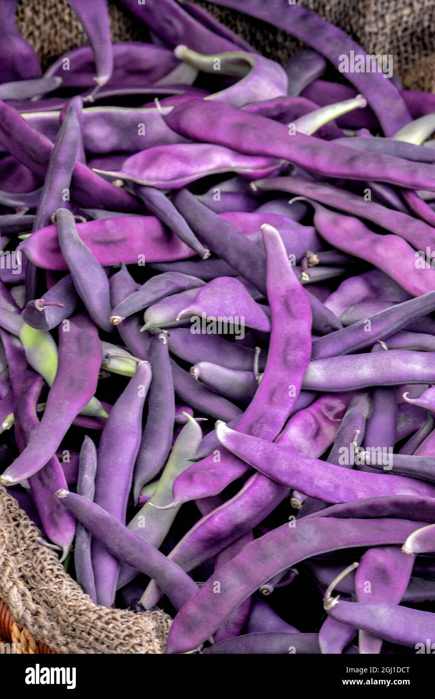 Purple pole beans hi-res stock photography and images - Alamy