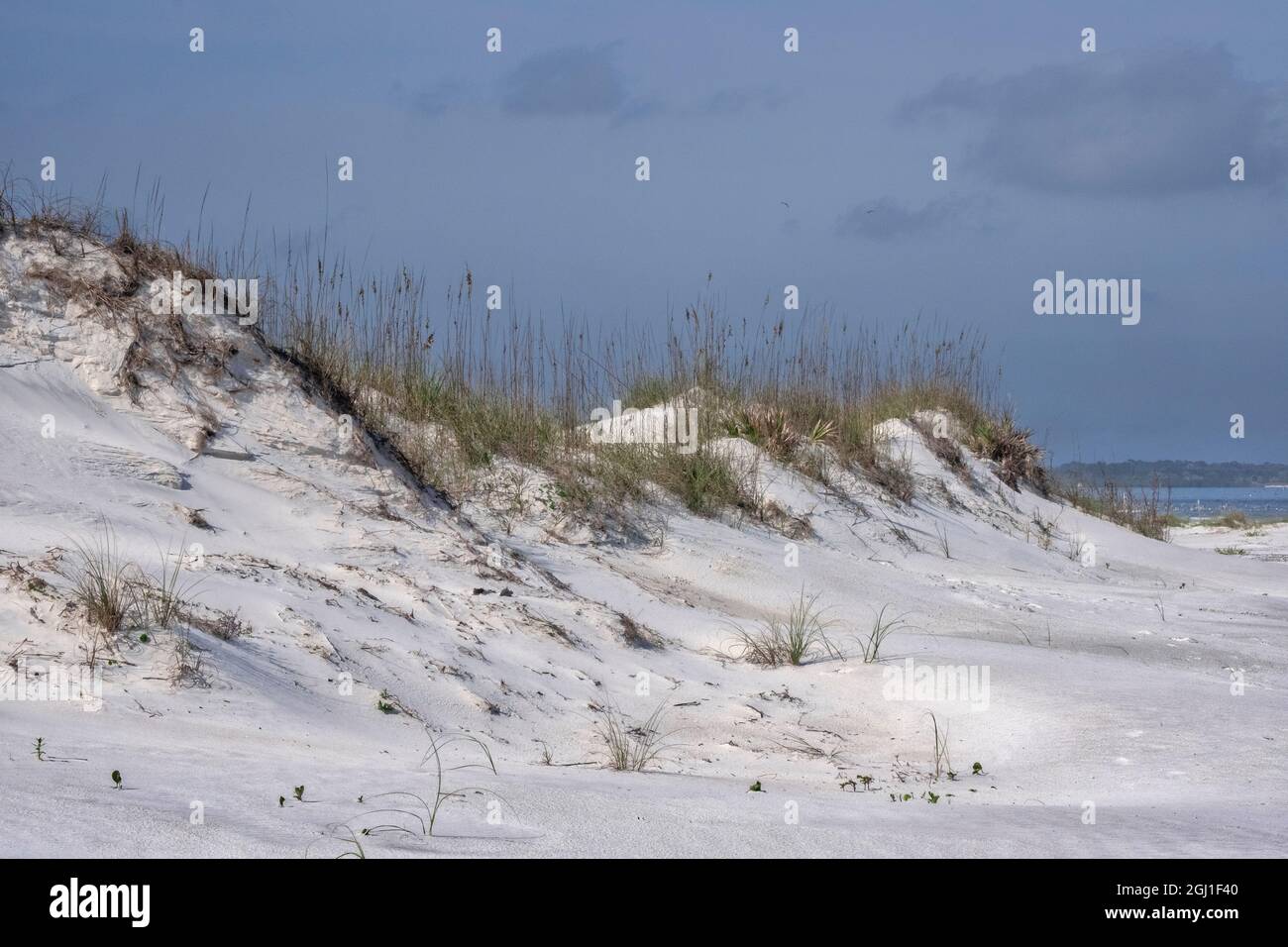 Florida Beach Sand Dunes 440+ Florida Beach Sand Dune Fence Stock