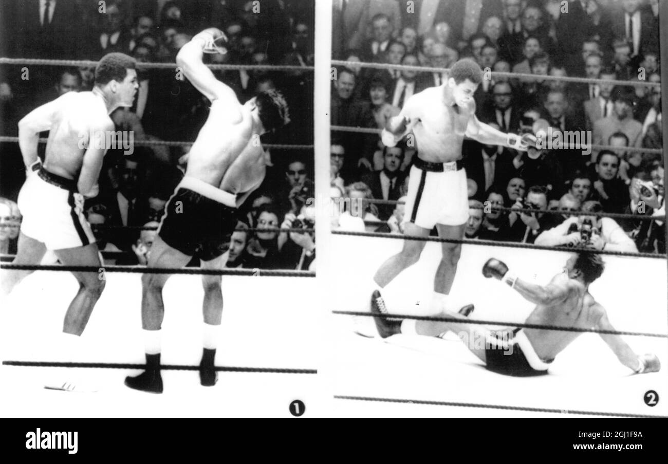 (Muhammad Ali) Cassius Clay in tthe boxing ring with Cleveland Williams ...