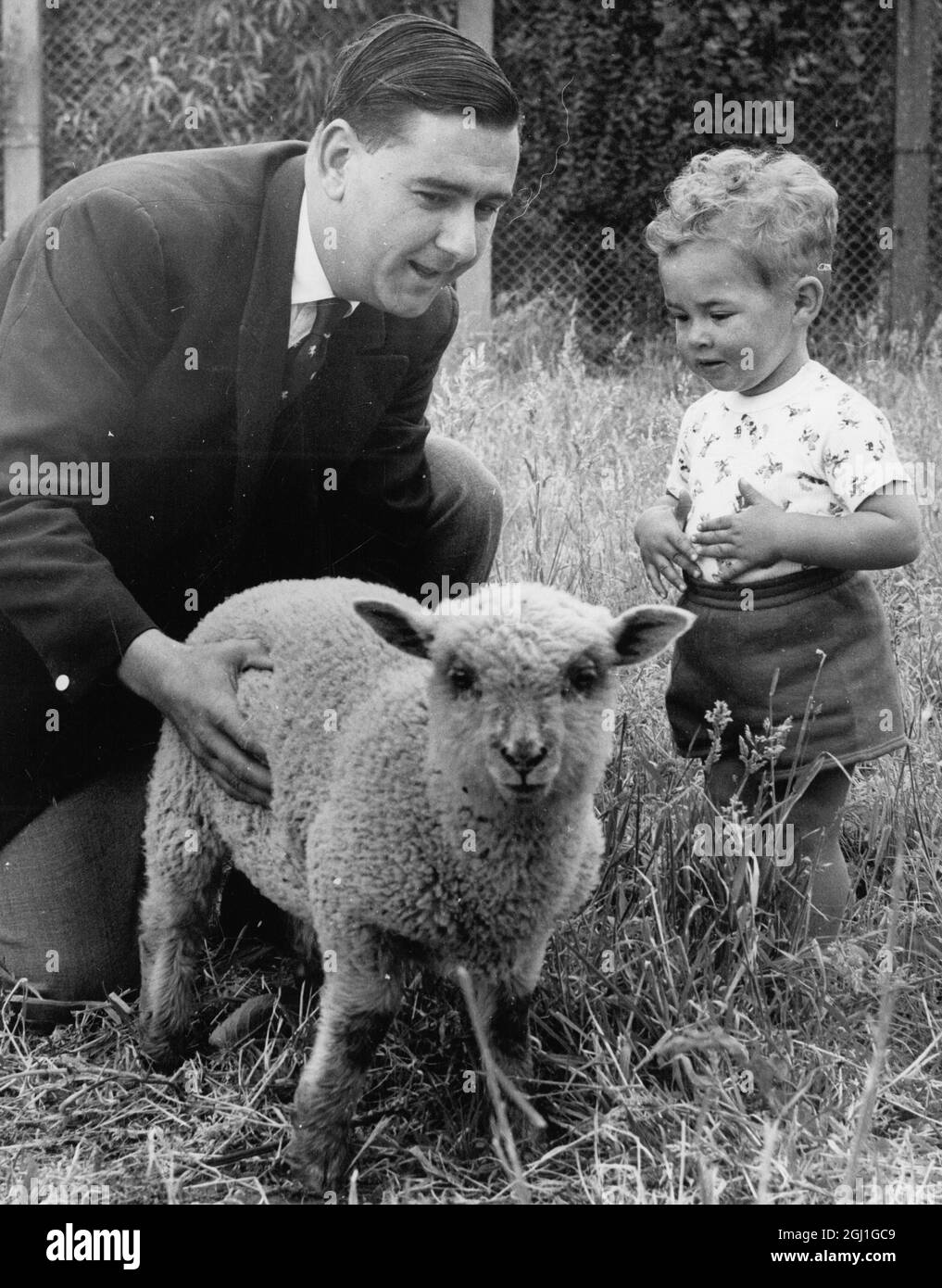 Colin Cowdrey with his son Christopher with their pet lamb in their ...