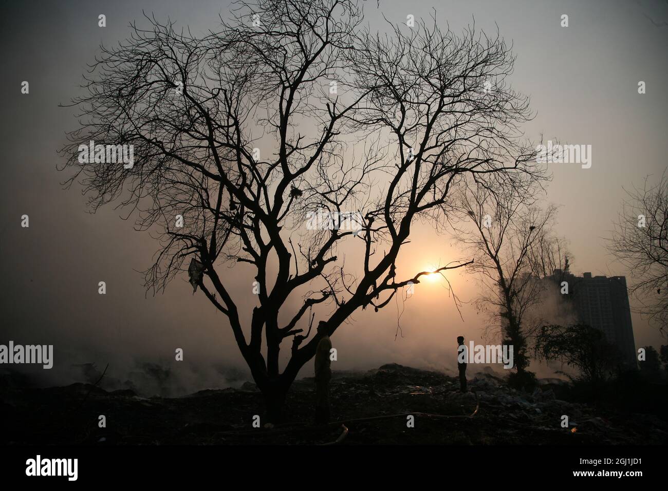 thick smoke rises from a fire at garbage dumping ground in Delhi , NCR ...