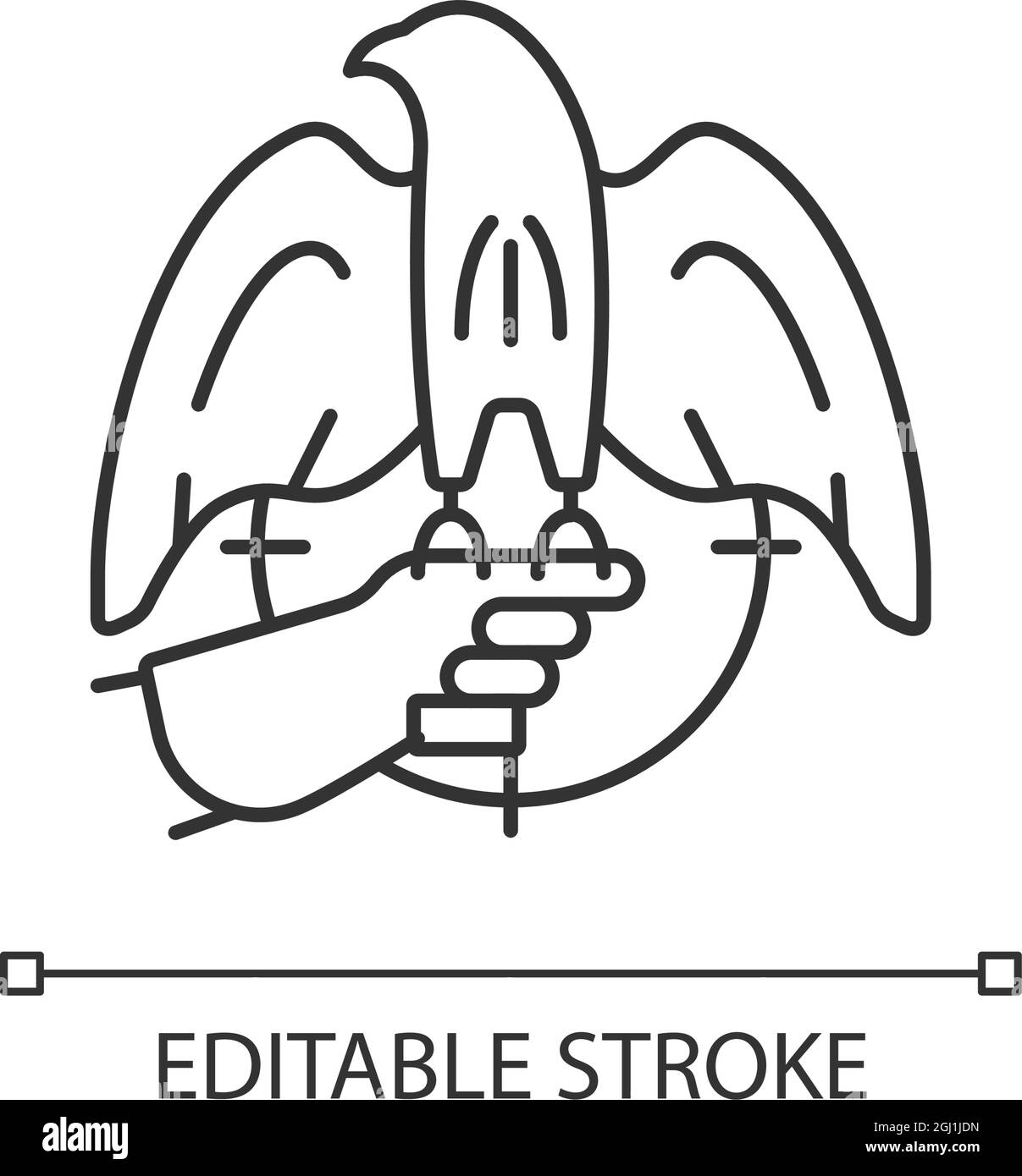 Falconry hunting Cut Out Stock Images & Pictures - Alamy