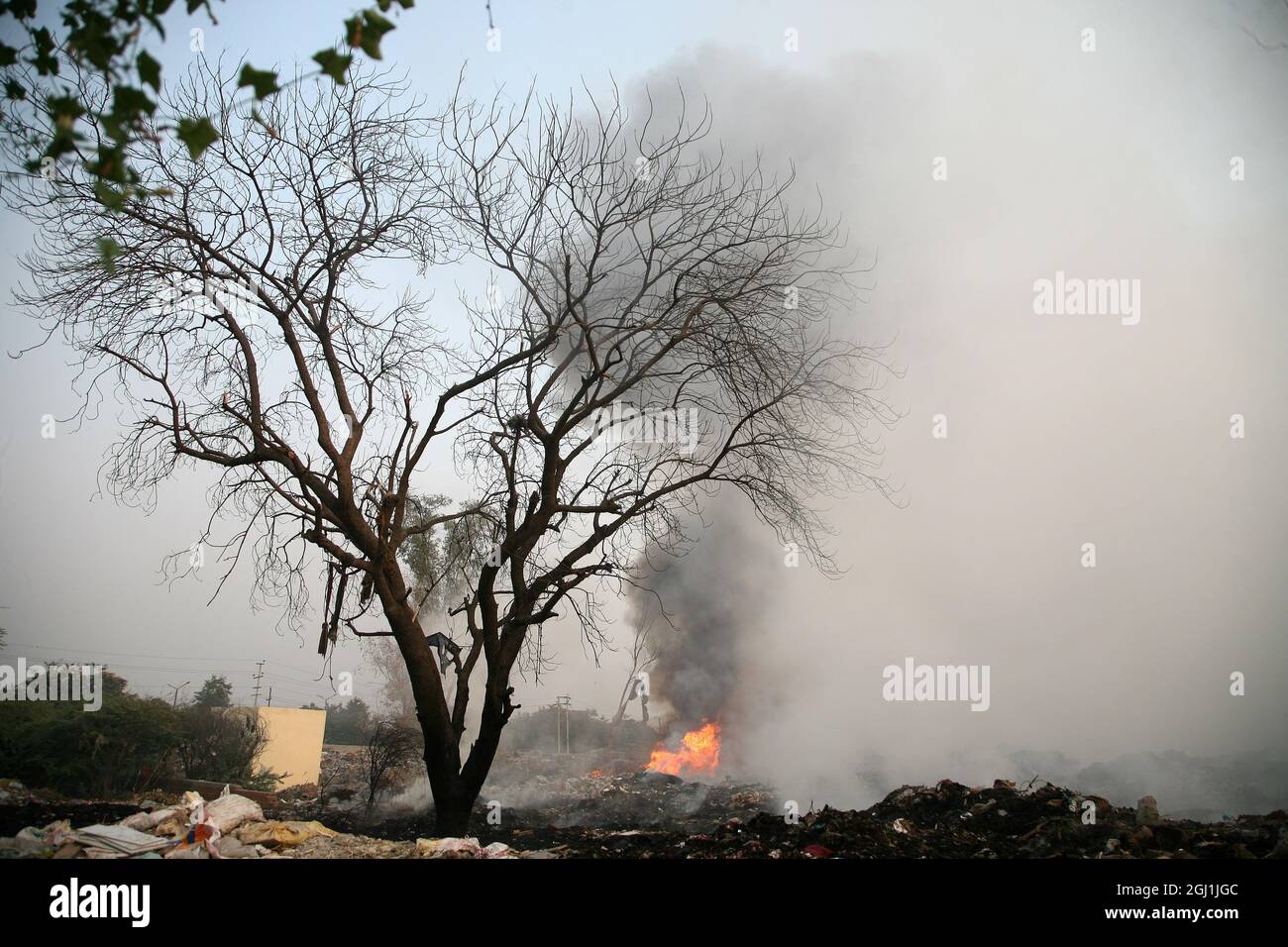 thick smoke rises from a fire at garbage dumping ground in Delhi , NCR ...