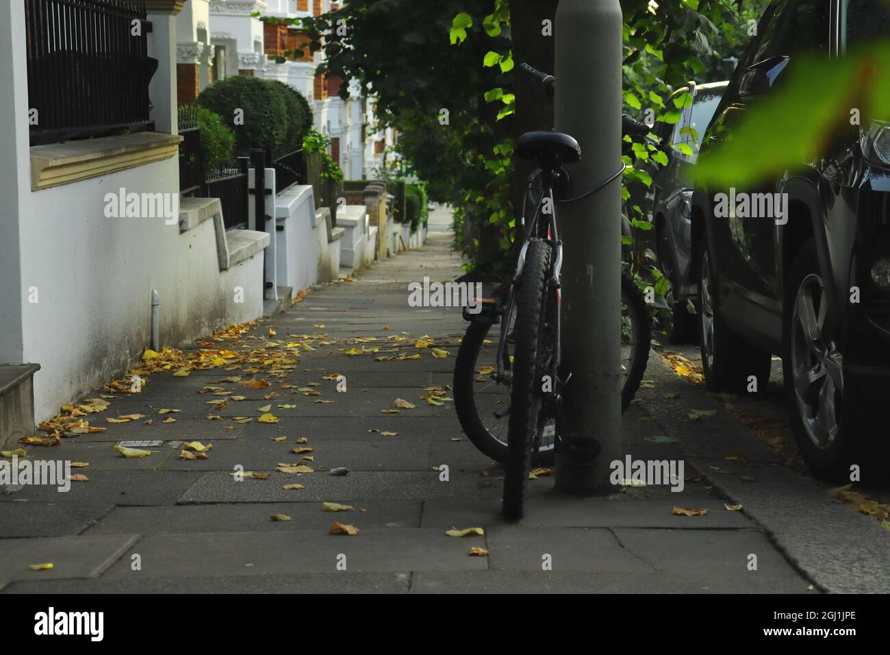 Leafy Street London Stock Photo - Alamy