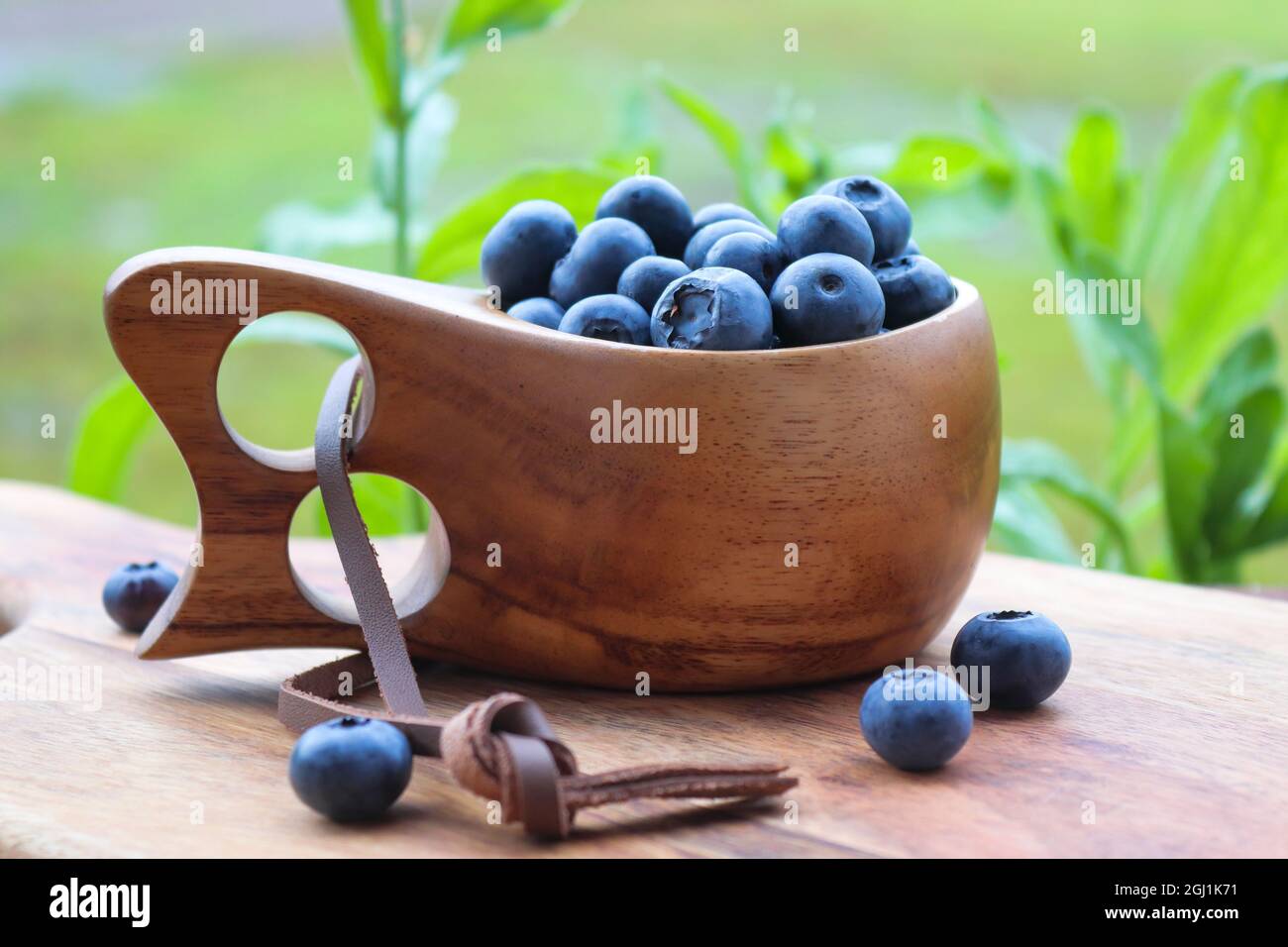 Blueberry in a cup hi-res stock photography and images - Alamy