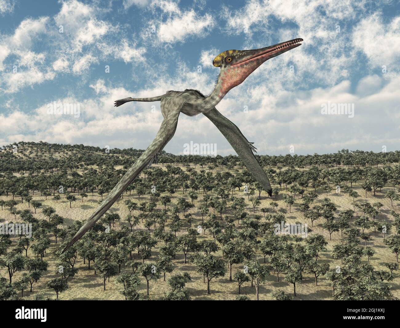 Pterosaur Pterodactylus flying over a landscape Stock Photo - Alamy
