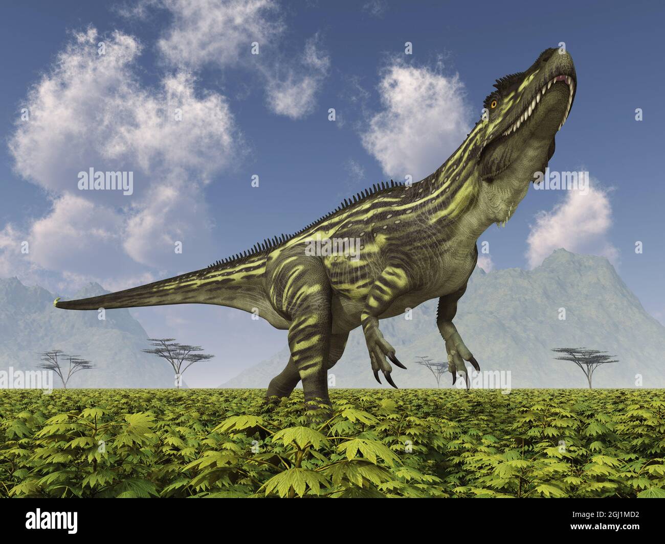 Torvosaurus hi-res stock photography and images - Alamy