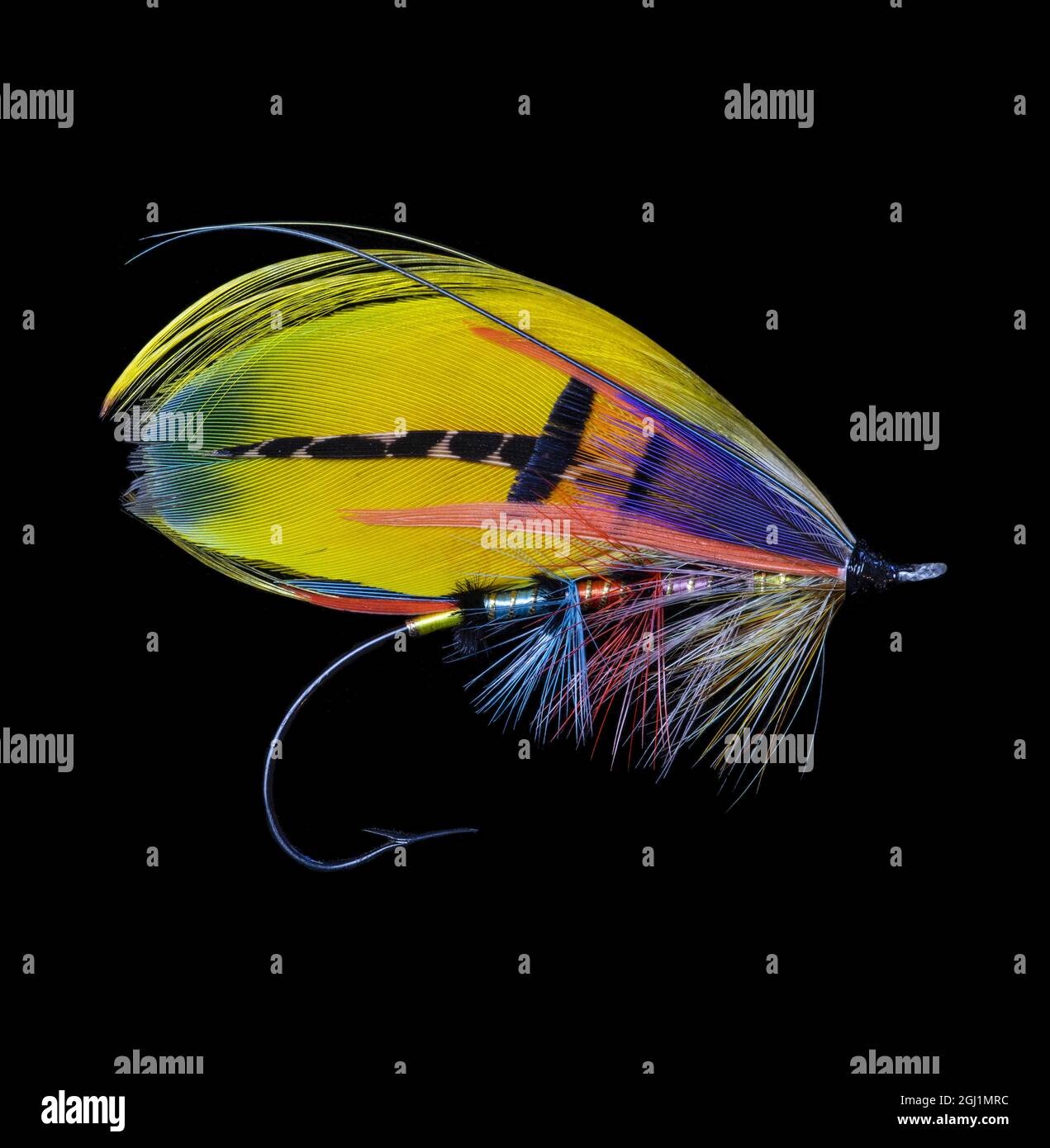 Atlantic Salmon Fly designs 'Shannon' Stock Photo - Alamy