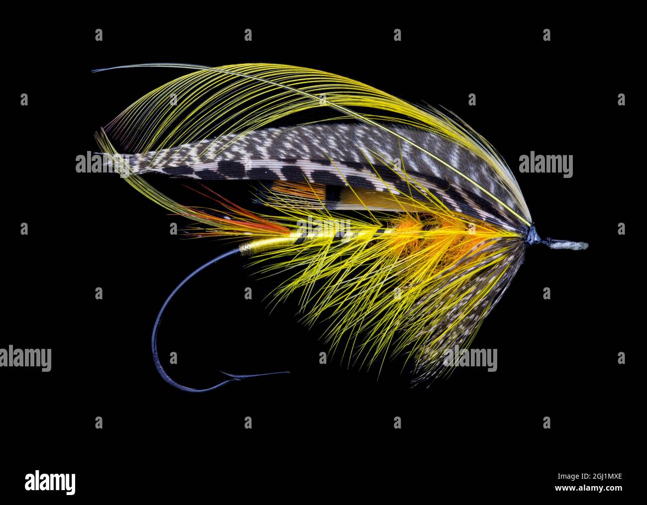 Atlantic Salmon Fly designs 'Colonel' Stock Photo - Alamy