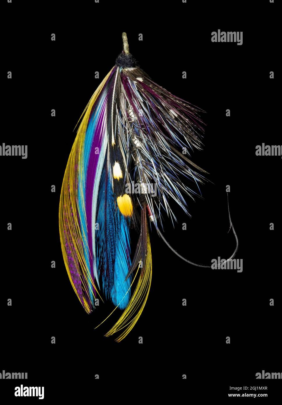 Atlantic Salmon Fly designs 'Jay Body' Stock Photo - Alamy